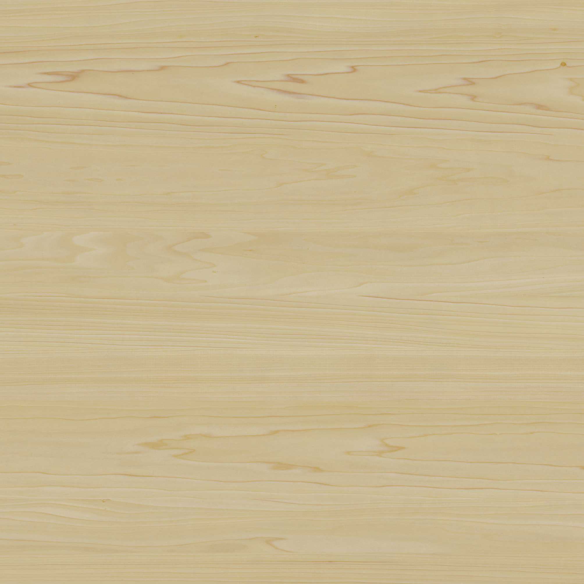 Free Swatches | Rove Concepts