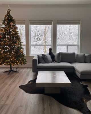 Hugo Sofa Sectional | Modern Sofa Sectional | Rove Concepts