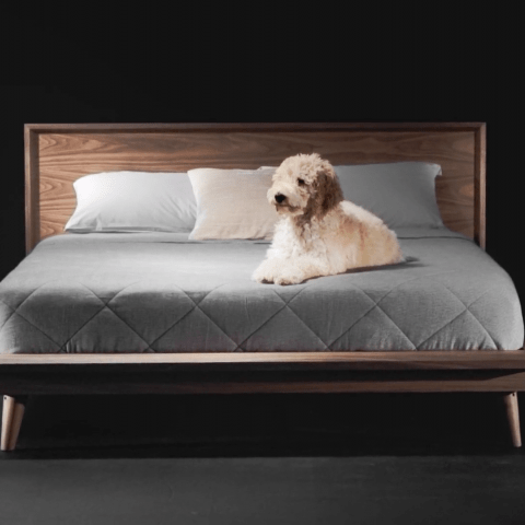 Asher Bed | Mid-Century Modern Bed | Rove Concepts