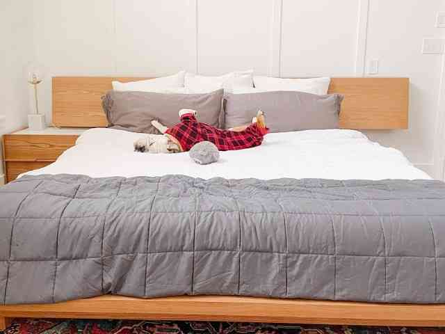 Hunter Bed | Modern Bed | Rove Concepts
