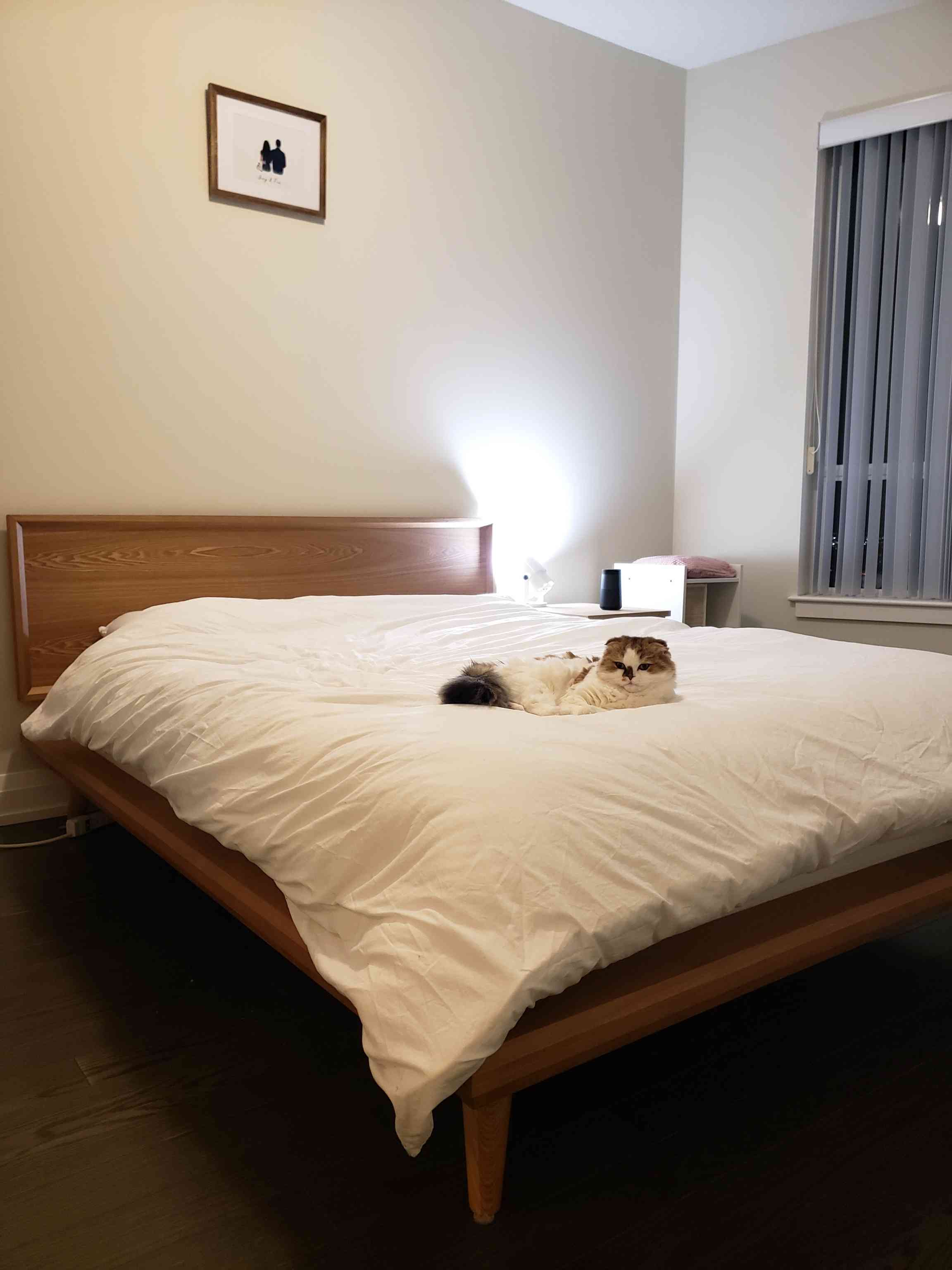 Asher Bed | Mid-Century Modern Bed | Rove Concepts