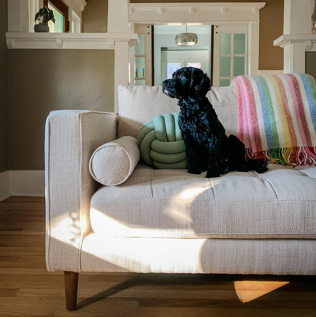 Luca Sofa | Rove Concepts