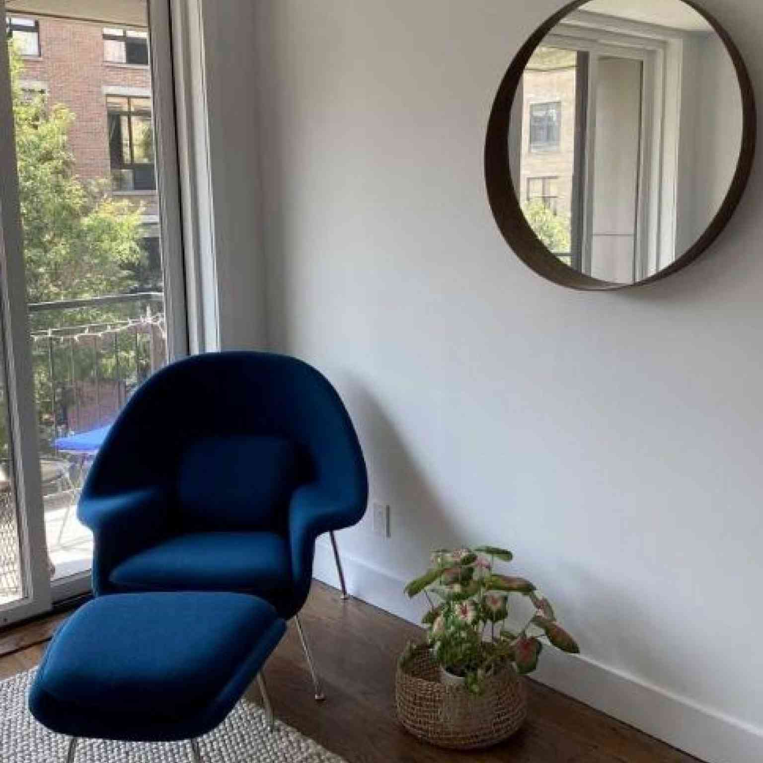 Womb Chair | Modern Lounge Chairs | Rove Concepts