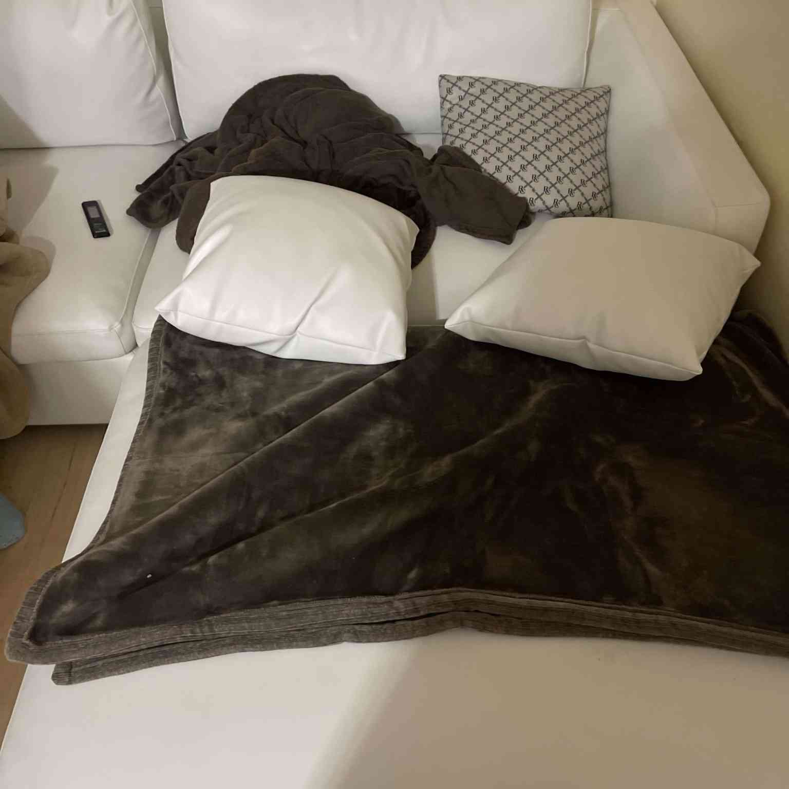 Hugo Sofa Sectional | Modern Sofa Sectional | Rove Concepts