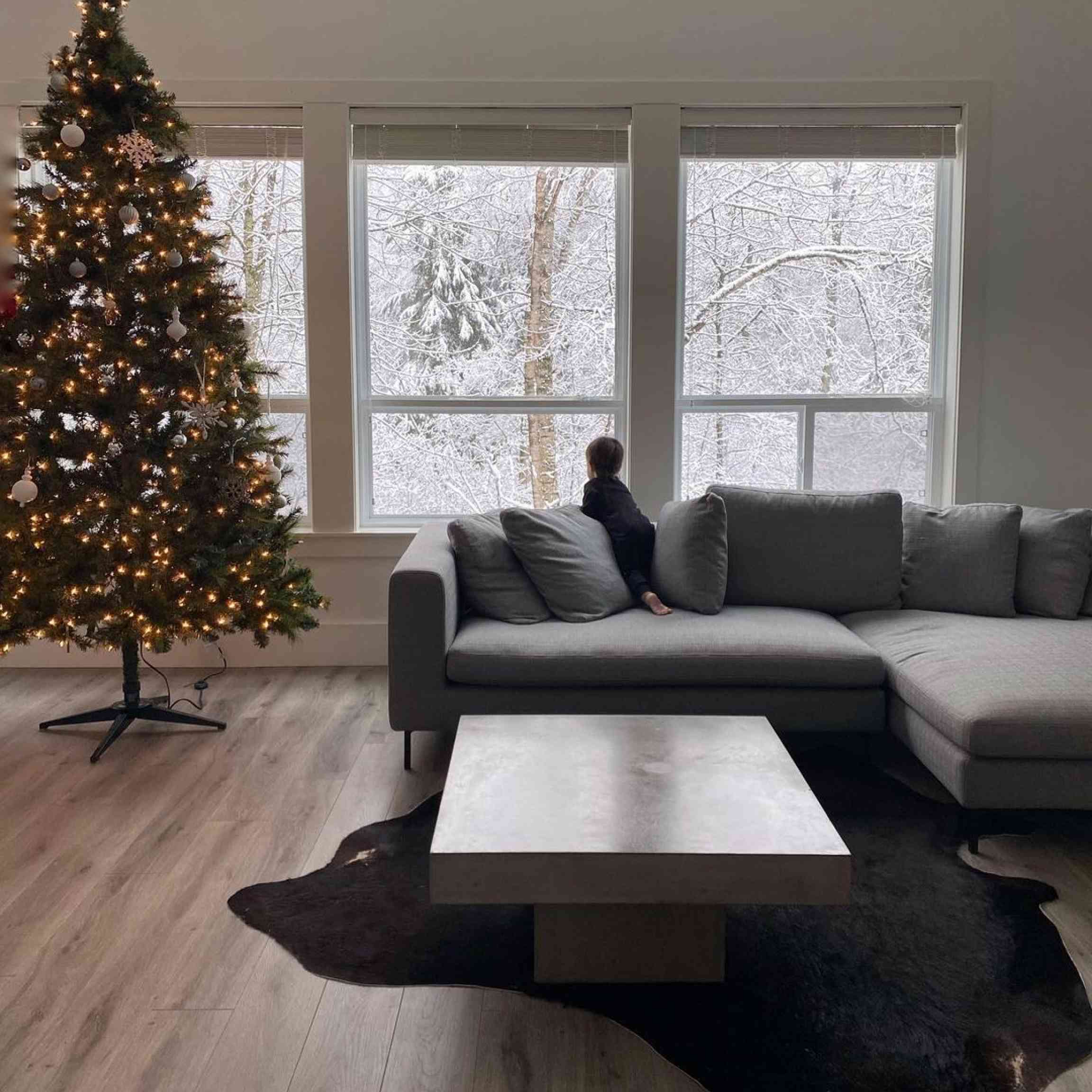 Hugo Sofa Sectional | Modern Sofa Sectional | Rove Concepts