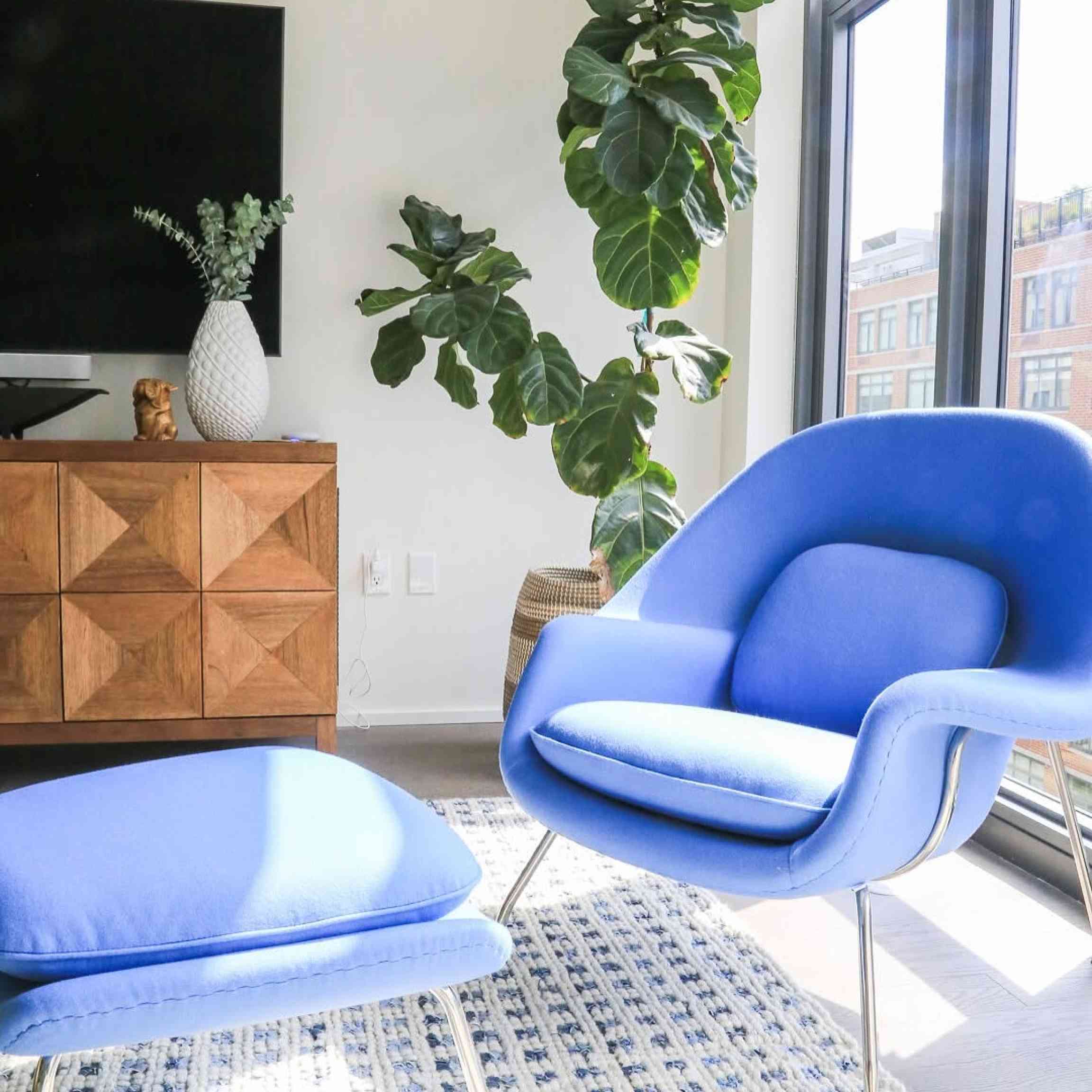 Womb Chair | Modern Lounge Chairs | Rove Concepts