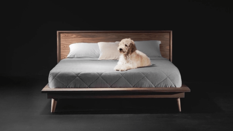 Asher Bed | Mid-Century Modern Bed | Rove Concepts
